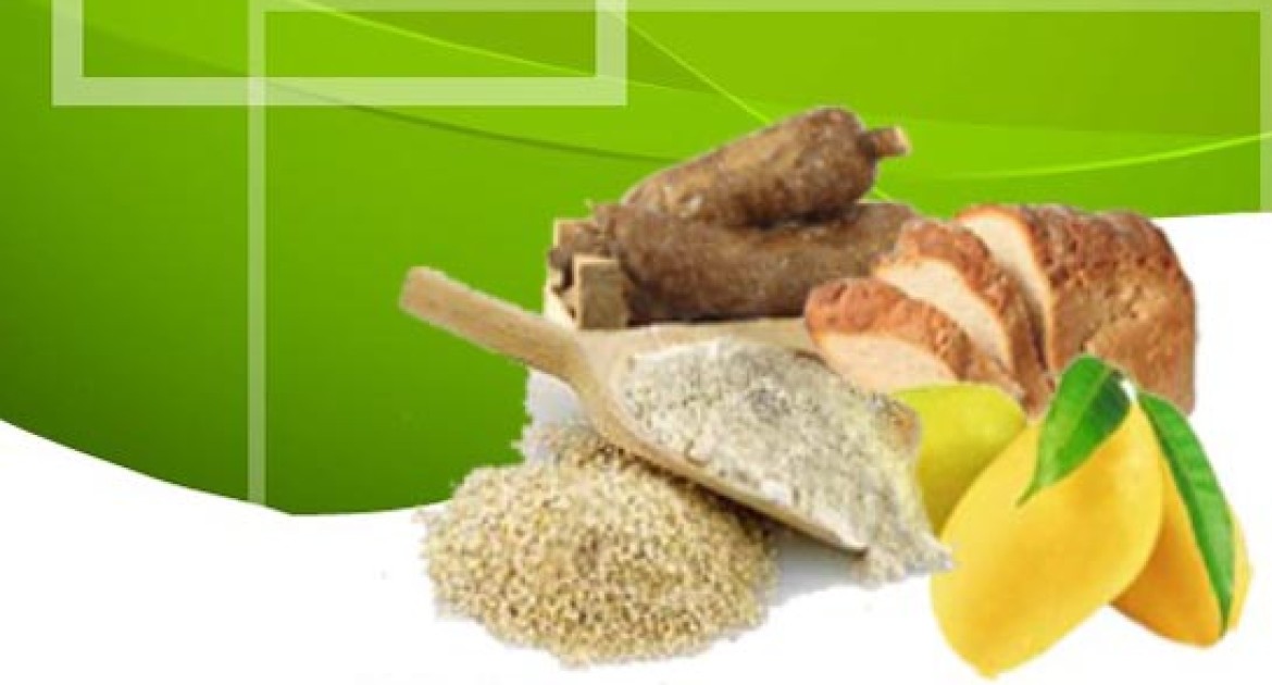 GEMS - Mango-Cassava Flour - Green Enviro Management Systems Inc.