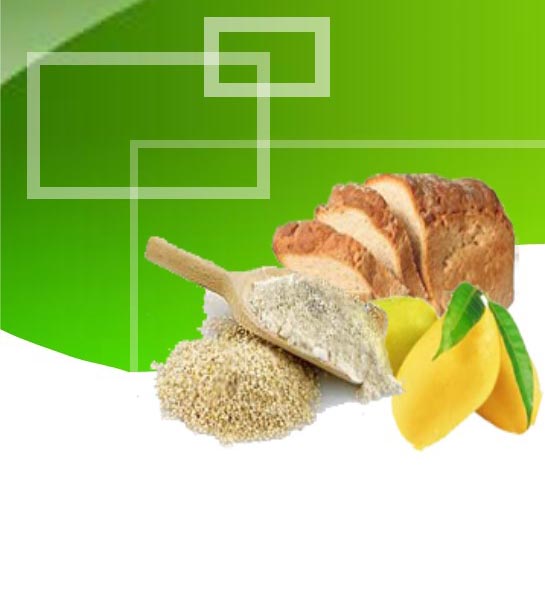 GEMS - Mango Flour - Green Enviro Management Systems Inc.